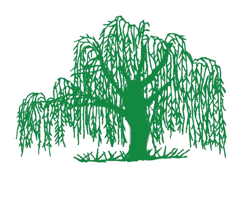 YCFC Logo Contest – Camp Willow Run